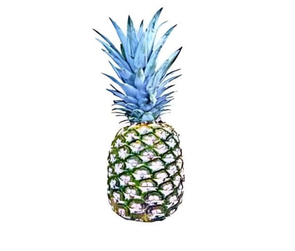15 Fascinating Pineapple Types from Around the World - Mothers Always Right