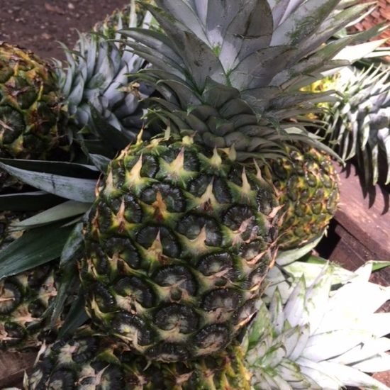 15 Fascinating Pineapple Types from Around the World - Mothers Always Right
