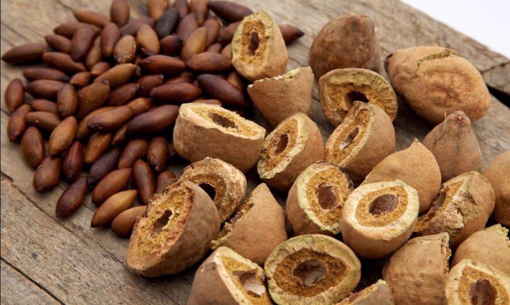 21 Delicious Types of Edible Nuts You Should Try - Mothers Always Right