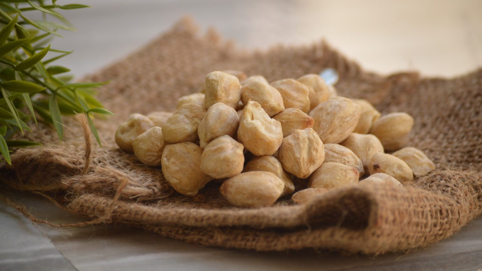 21 Delicious Types of Edible Nuts You Should Try - Mothers Always Right