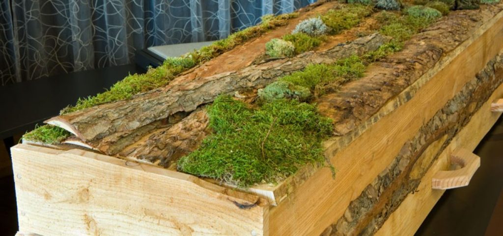 40 Different Types of Bars You Need to Know About - Mothers Always Right