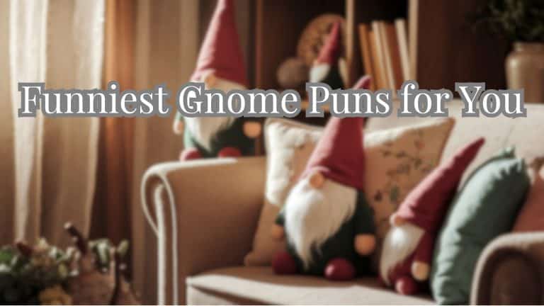 30 Movies Like American Pie to Binge Today! - Mothers Always Right