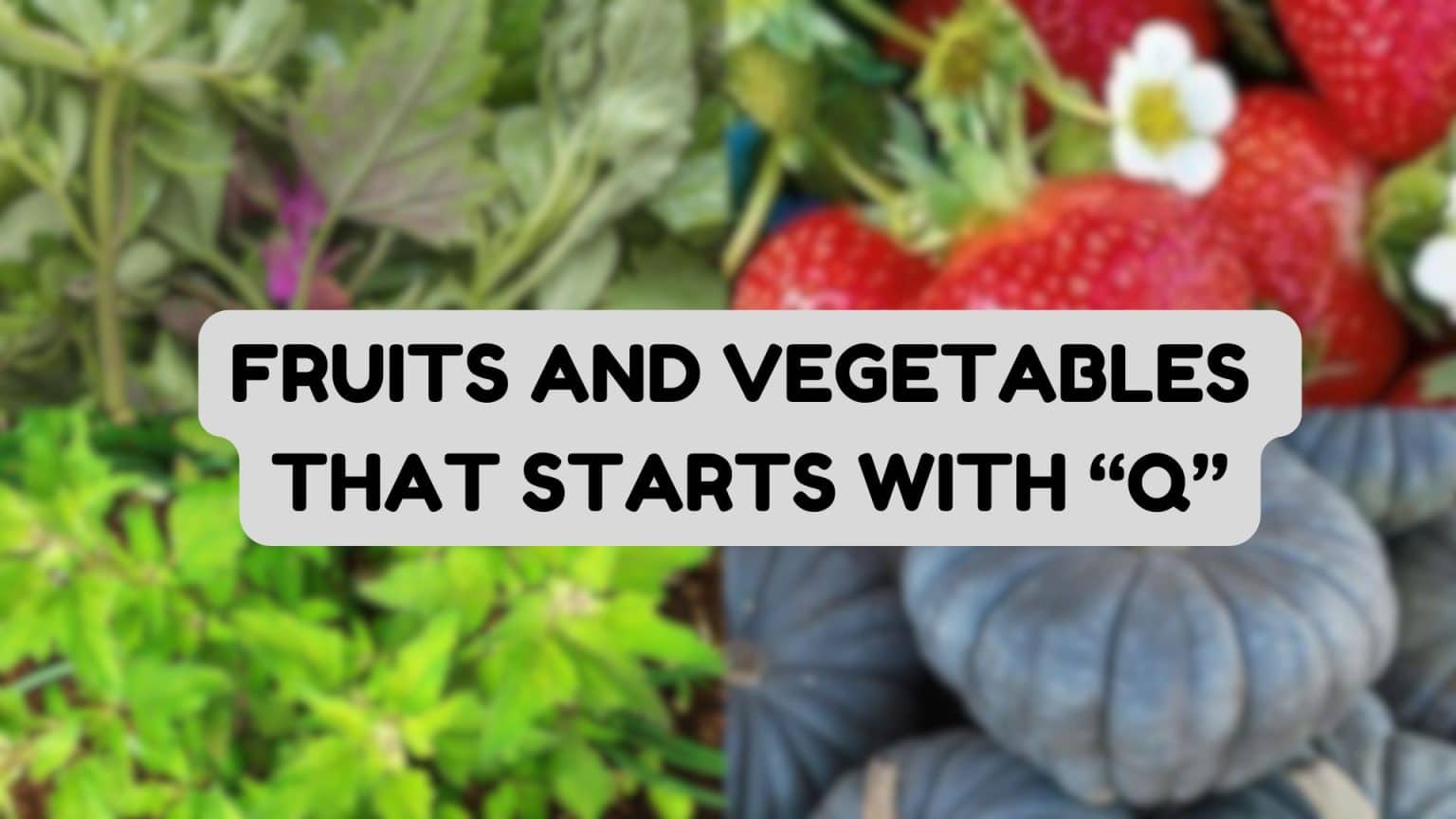 22 Fruits and Vegetabes that Start with The Letter "Q" - Mothers Always ...