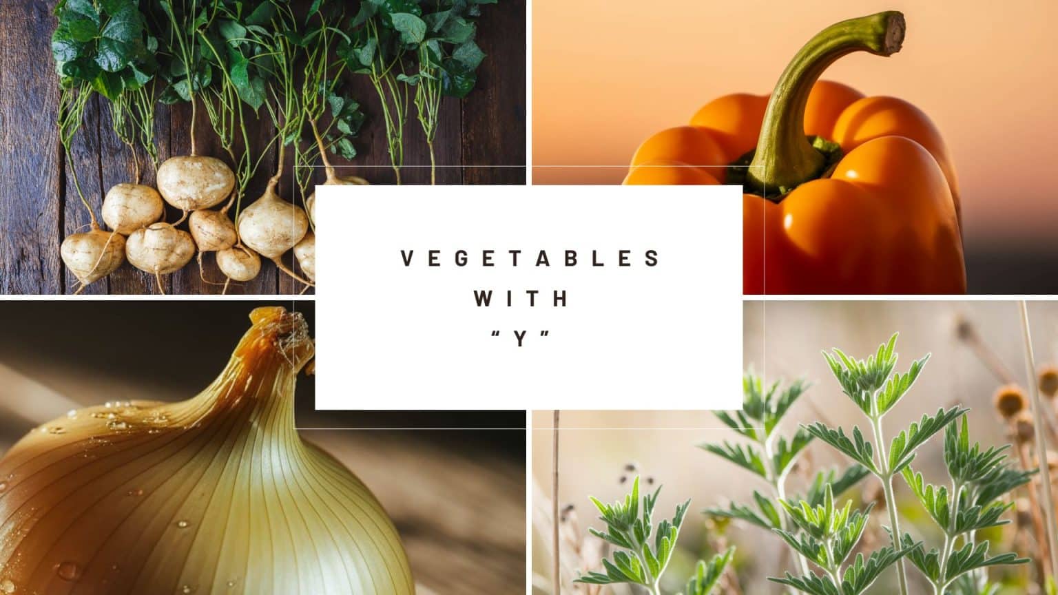 9 Vegetables That Start with Letter "Y" - Mothers Always Right